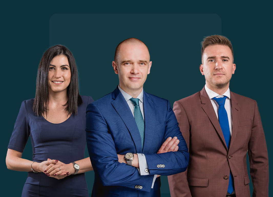 Lapusan & Partners | About Us